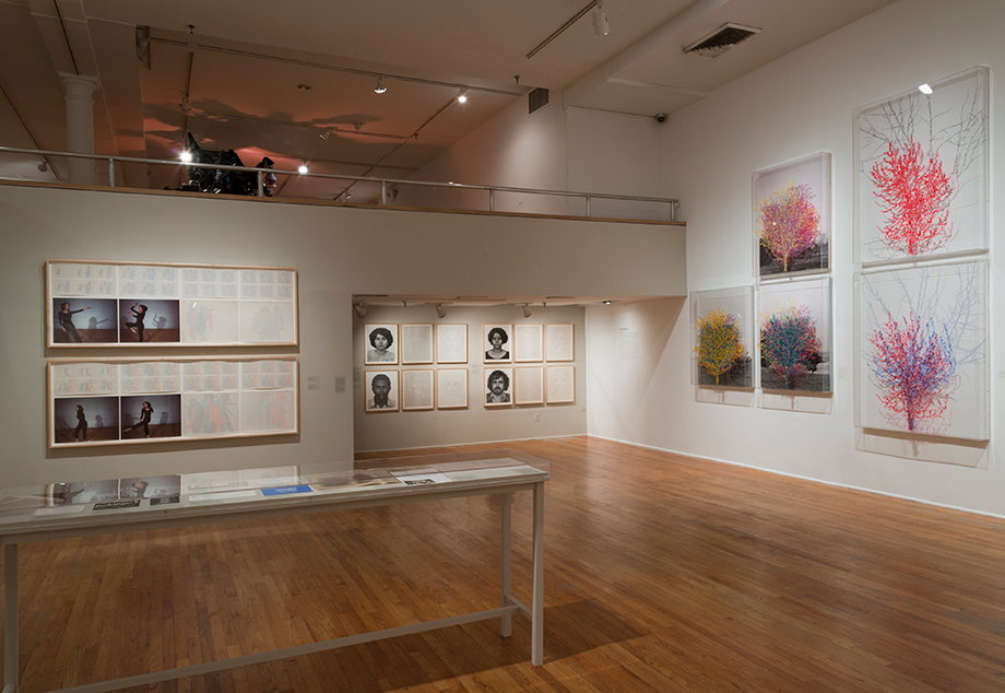 Charles Gaines | Studio Museum in Harlem