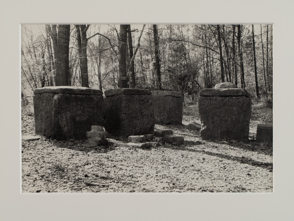 Martin W. Kane | Studio Museum in Harlem