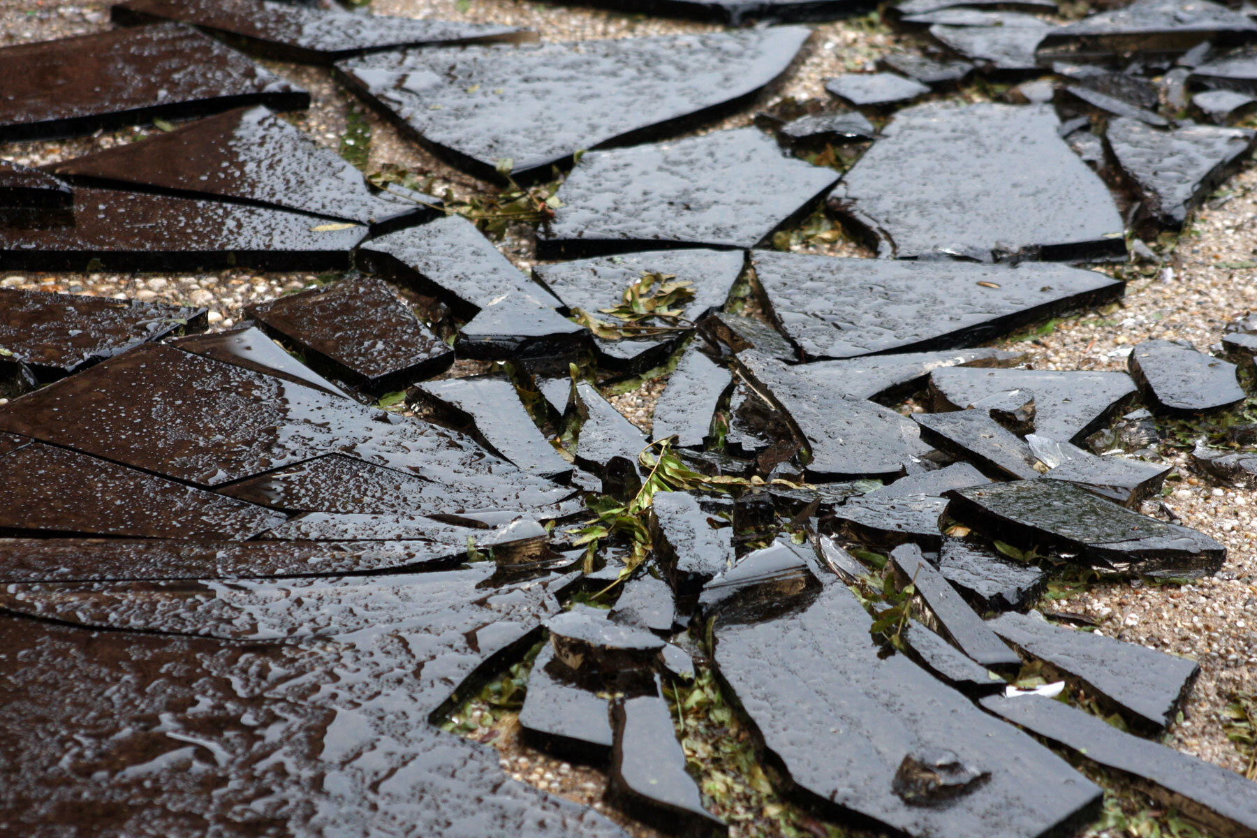 Harlem Postcards | Studio Museum in Harlem