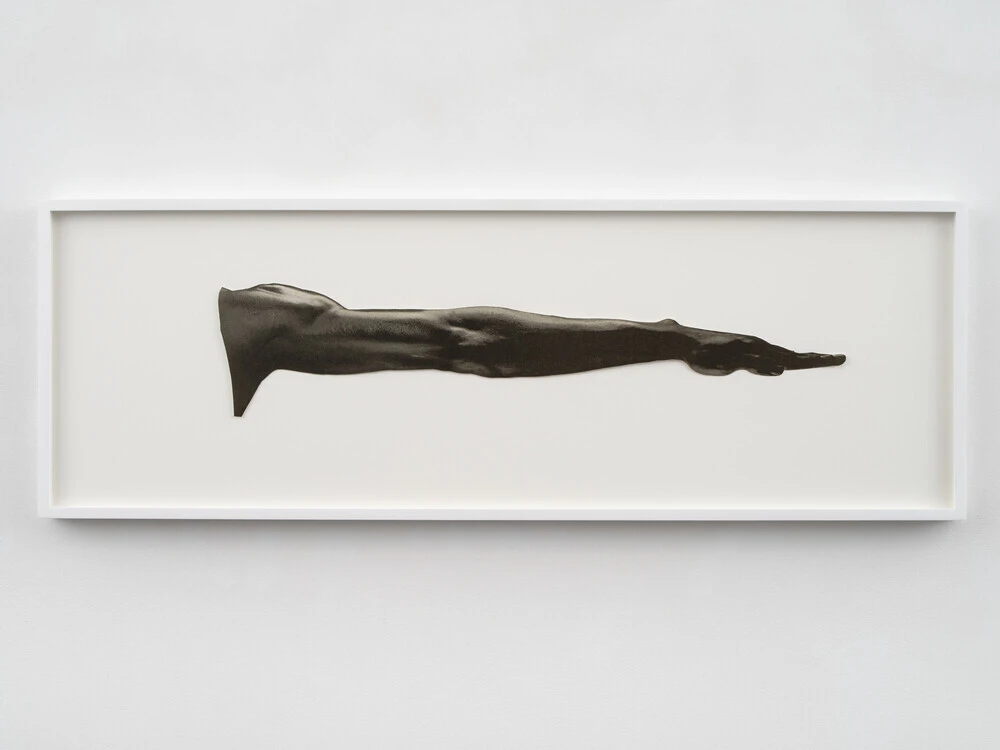 Butterfly | Studio Museum in Harlem