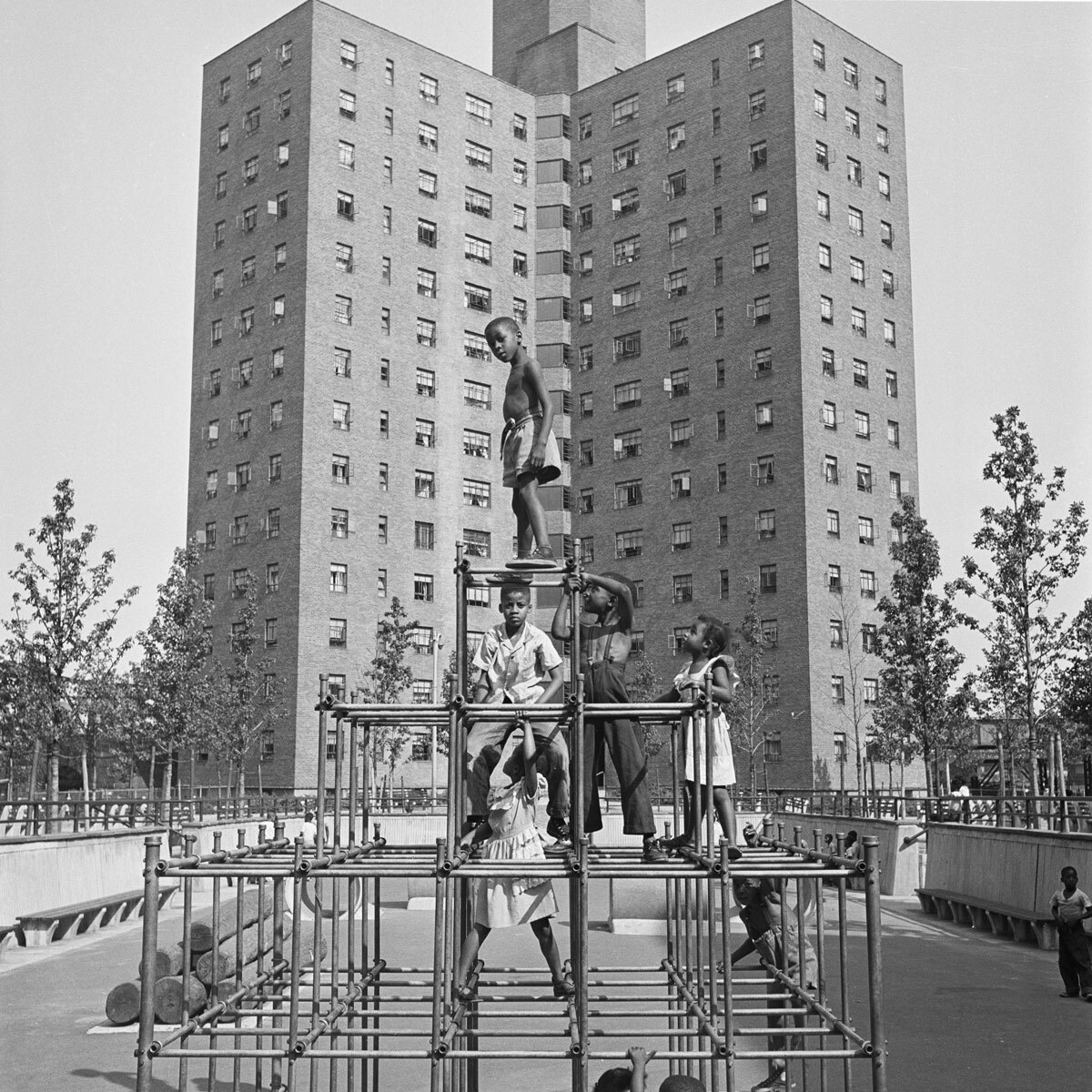 Archive | Harlem Postcards | Studio Museum in Harlem