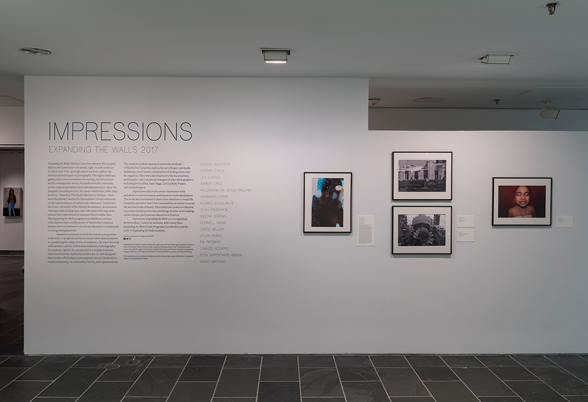 Impressions | Studio Museum in Harlem