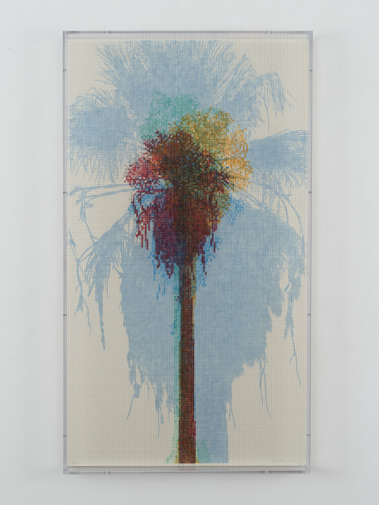 Numbers and Trees: Palm Canyon, Palm Series 4, Tree #4, Acjachemen ...