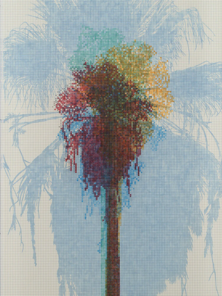 Numbers and Trees: Palm Canyon, Palm Series 4, Tree #4, Acjachemen ...