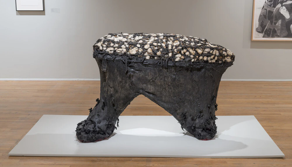 Nari Ward | Studio Museum in Harlem