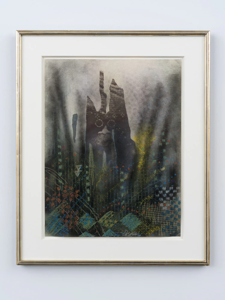David Hammons | Studio Museum in Harlem