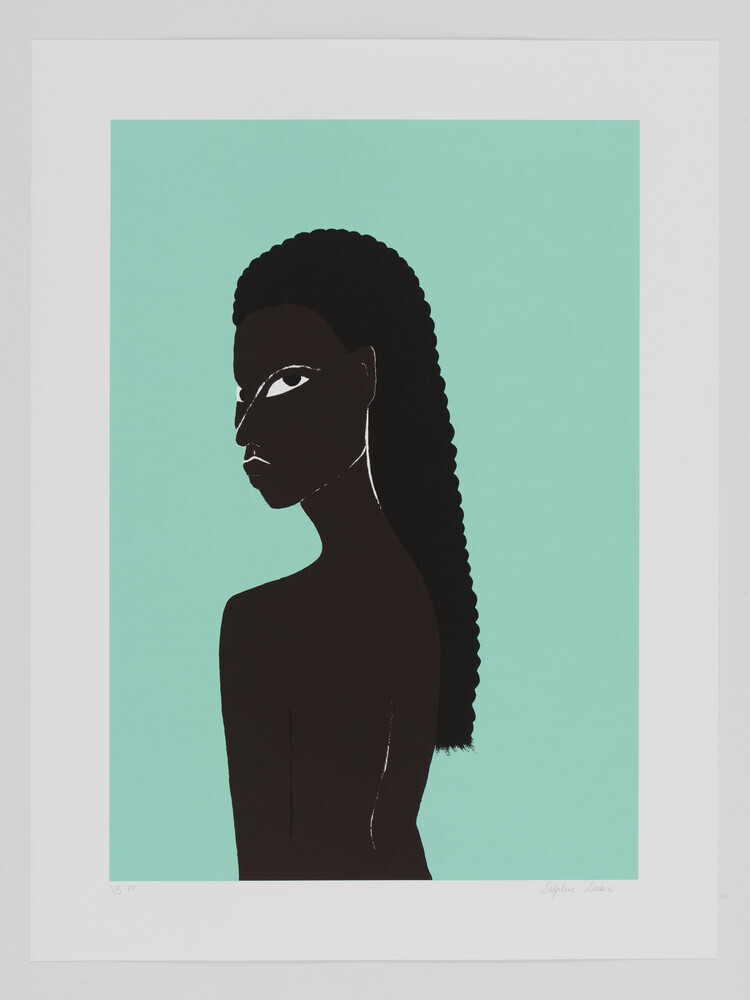 Delphine Desane | Studio Museum in Harlem