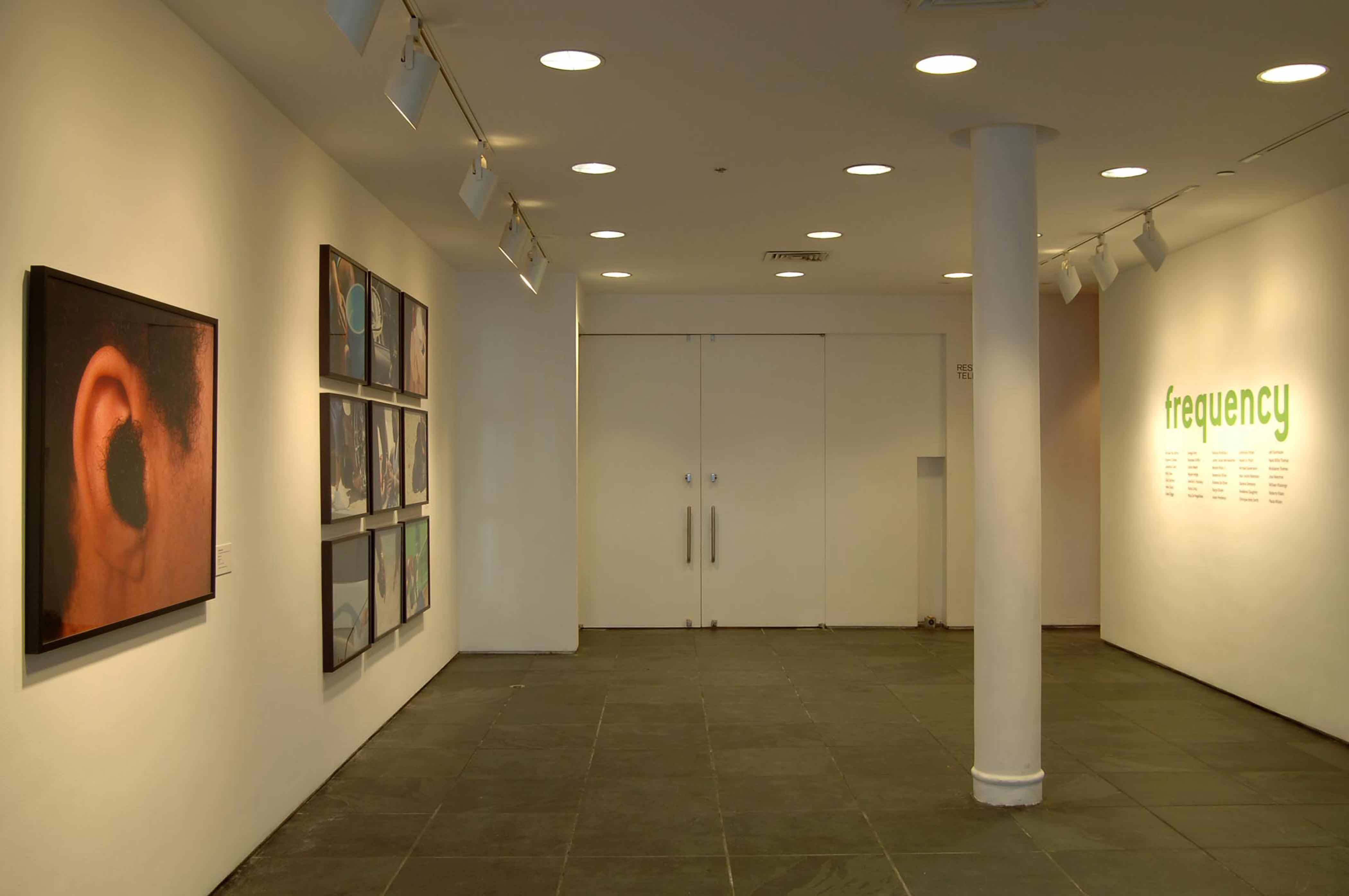 Frequency | Studio Museum in Harlem